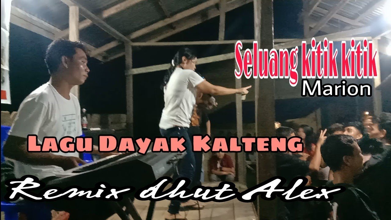 Seluang kitik kitik // Marion _ Cover Oron _ Live KDB STUDIO - YouTube