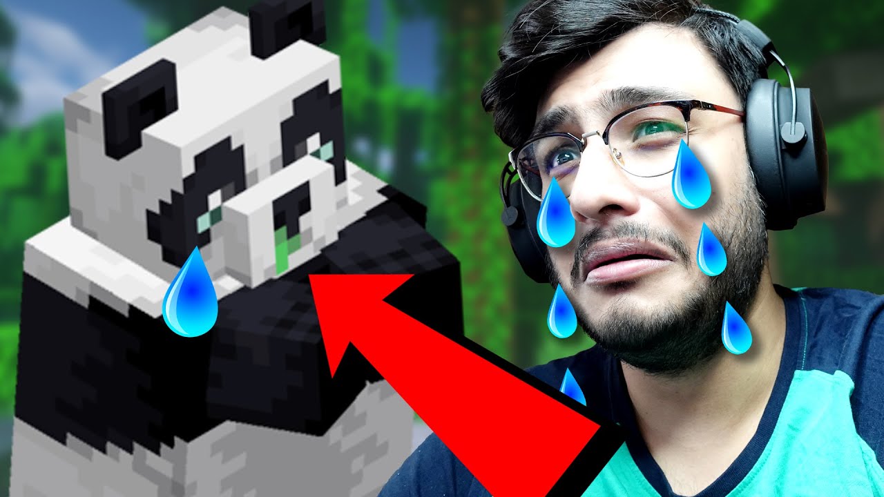 MY MINECRAFT PANDA IS VERY SAD! 😭😭 | RAWKNEE - YouTube