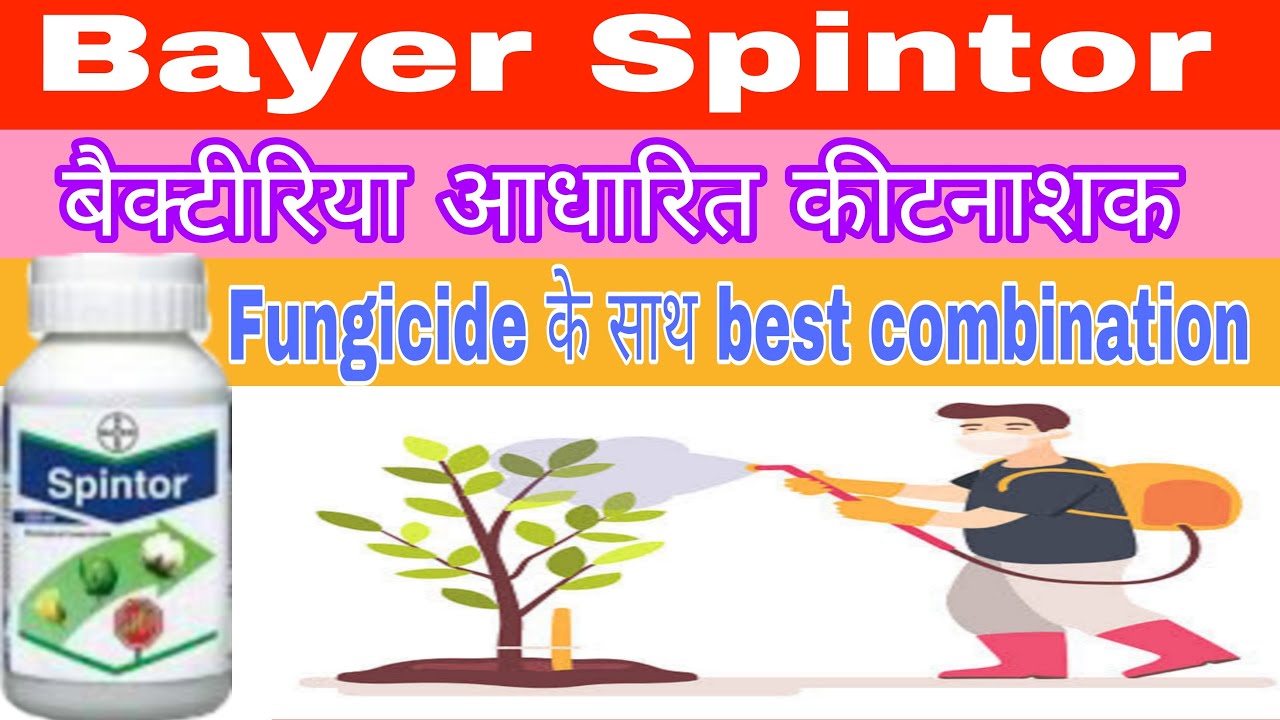 spintor insecticide | bayer spintor | spinosad insecticide | spinosad ...