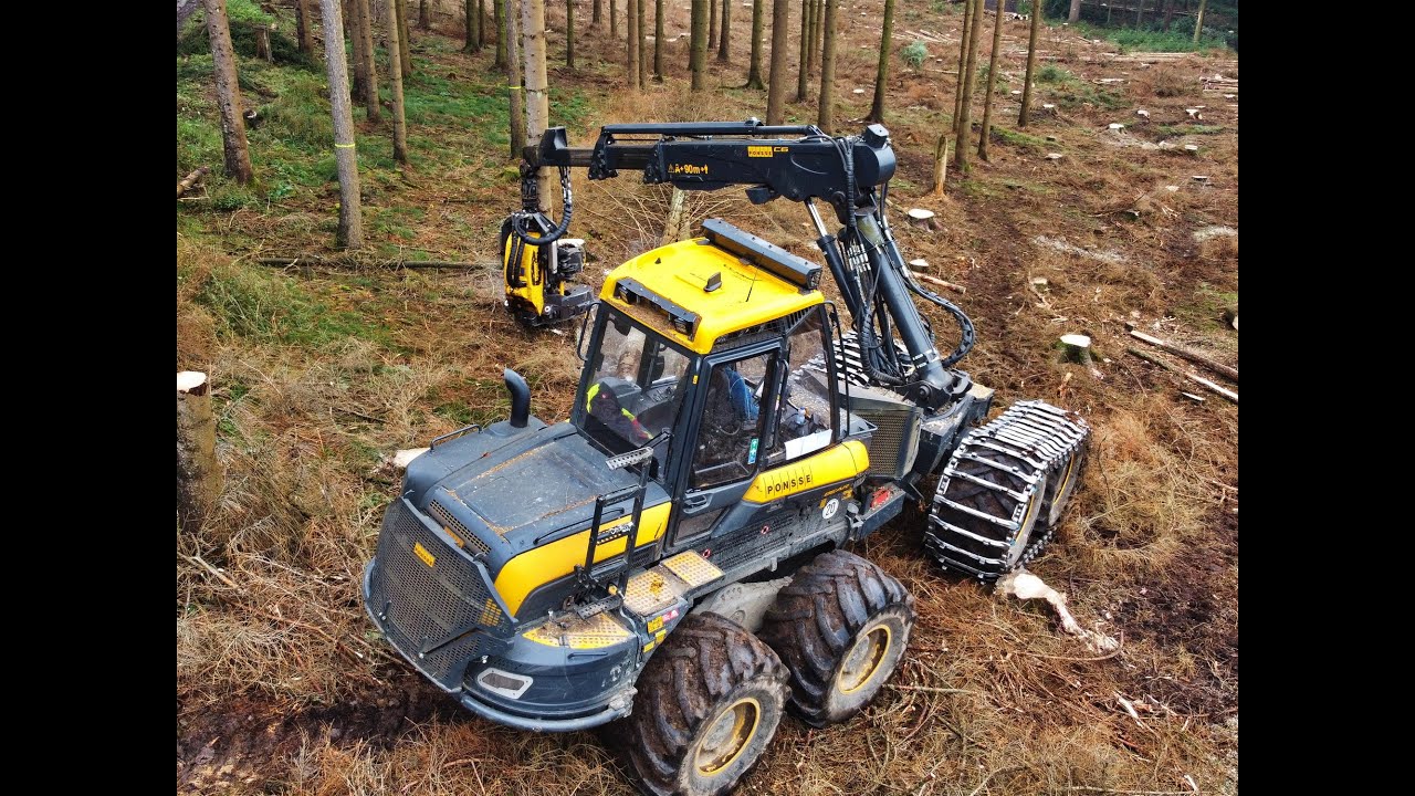 🌲 Ponsse Bear / H8 • *CabView* • Forstbetrieb Klute-Lenze • Harvester ...