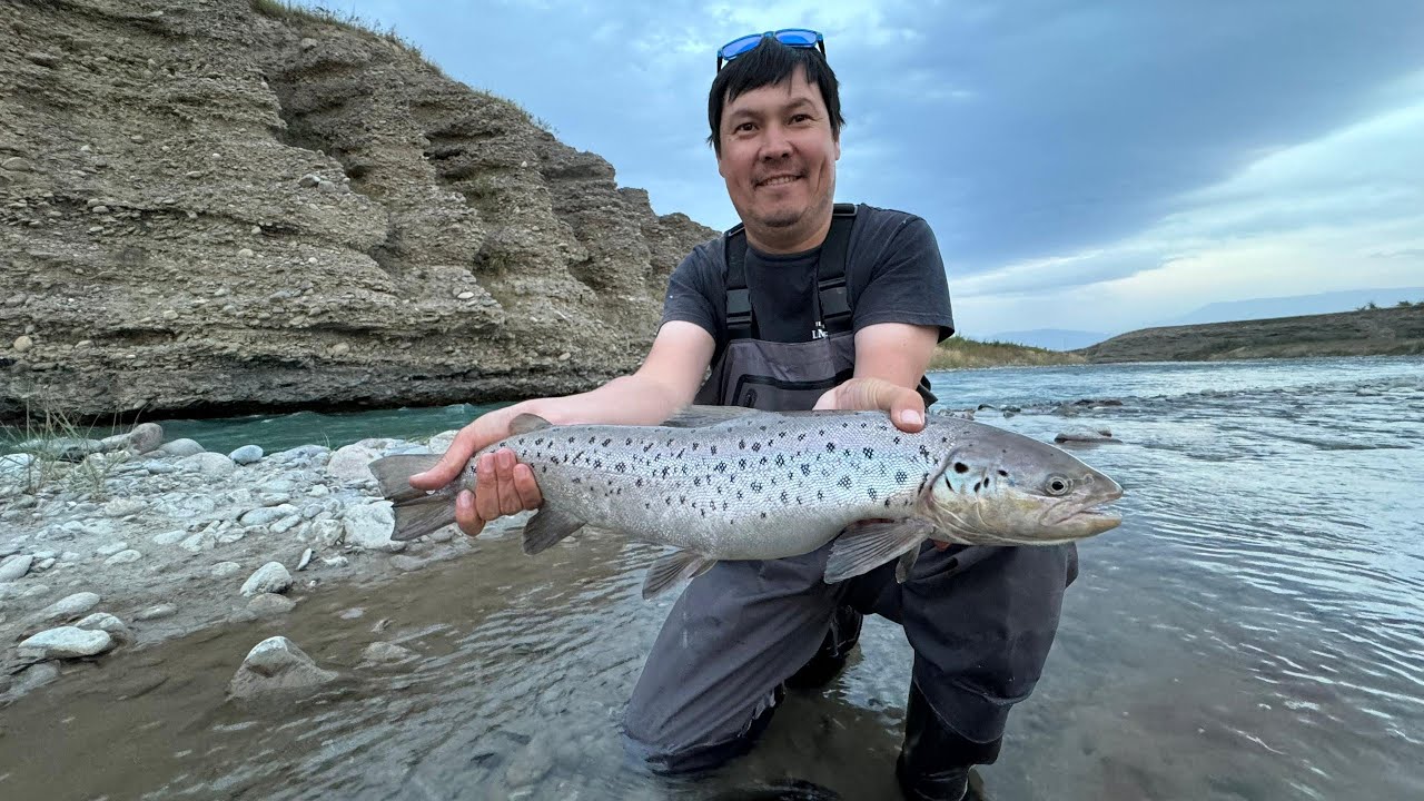 Trout fishing in Kyrgyzstan | Pêche à la truite au Kirghizistan - YouTube