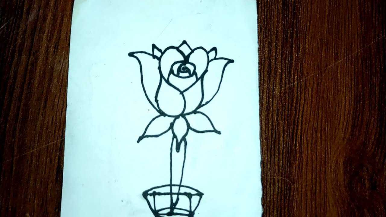 How to rose flowers drawing easy - YouTube