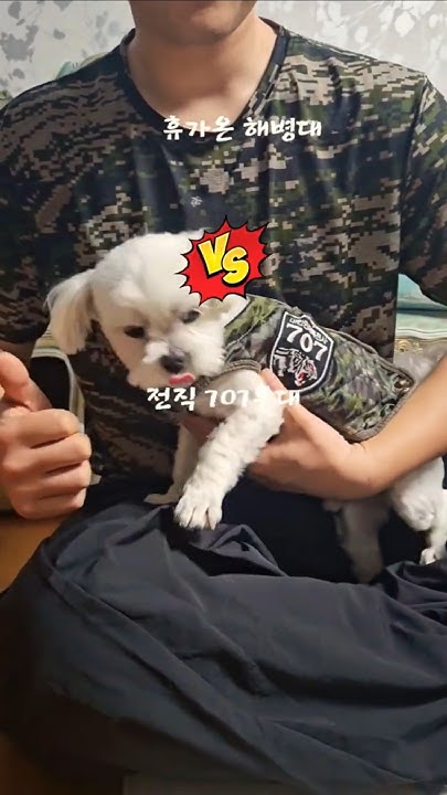 해병대 VS 707 과연 누가 압승할까? #pets - YouTube