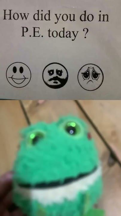 How did you do in PE today? - YouTube