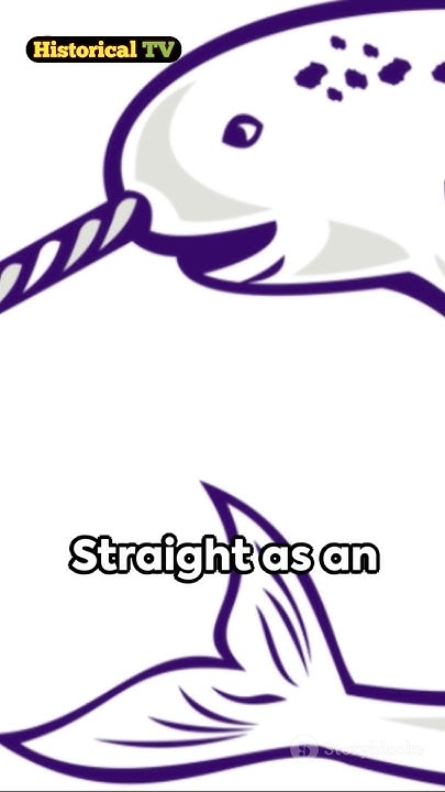 The Majestic Narwhal_ Unraveling the Mystery of the Arctic Unicorn// @NatGeo - YouTube