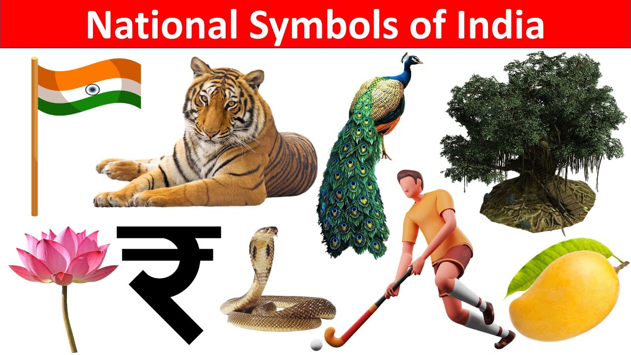 Learn National Symbols of India| National Symbols for Kids in English ...