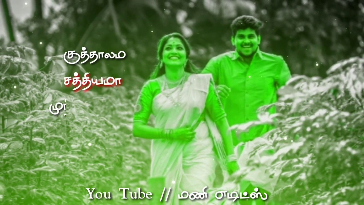 Love whatsapp status💞 Chittan Chittan Kuruvi song💞வசியம் போட்டு ...
