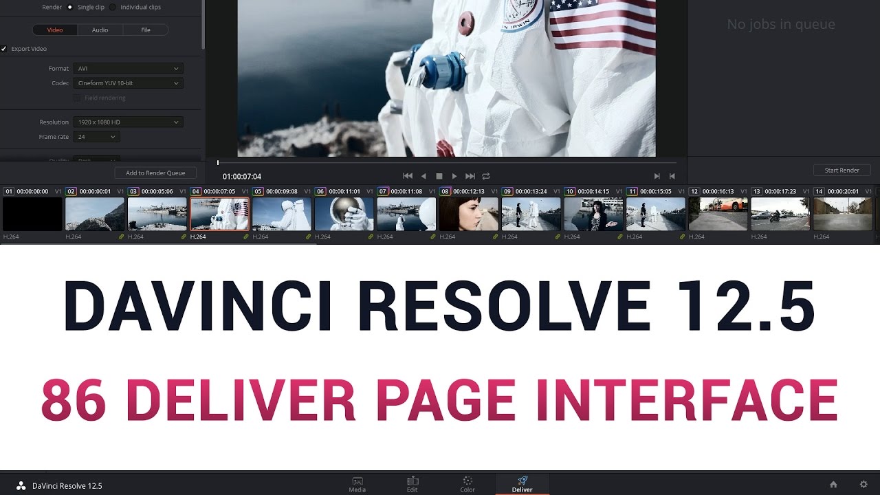 Davinci resolve reference manual - jnrsharp