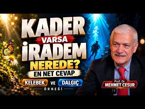 Kader ve Hür İradeyi Anlamak İçin Bu Örneği Mutlaka Dinleyin! -Prof. Dr. Mehmet Cesur