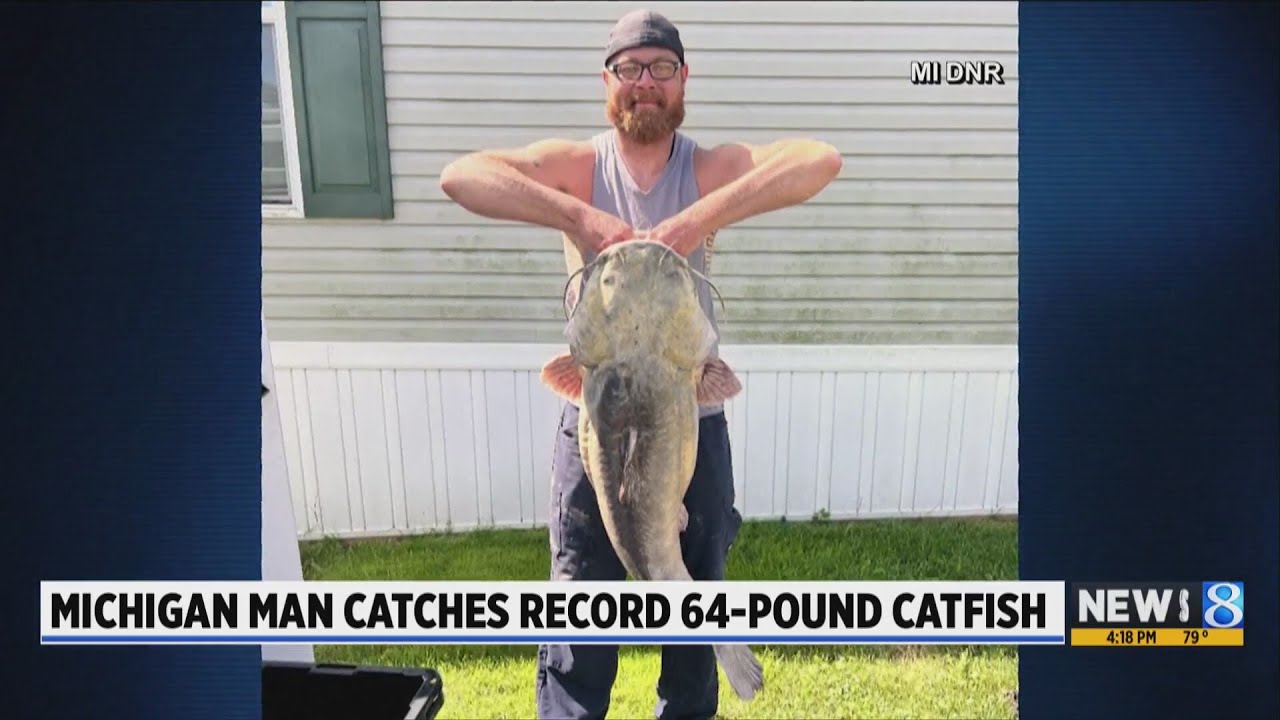 Fisherman shatters state record for flathead catfish - YouTube