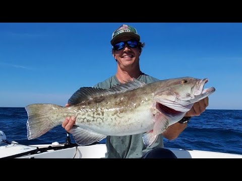 Grouper Fishing 40 Miles Offshore Wrightsville Beach NC - YouTube
