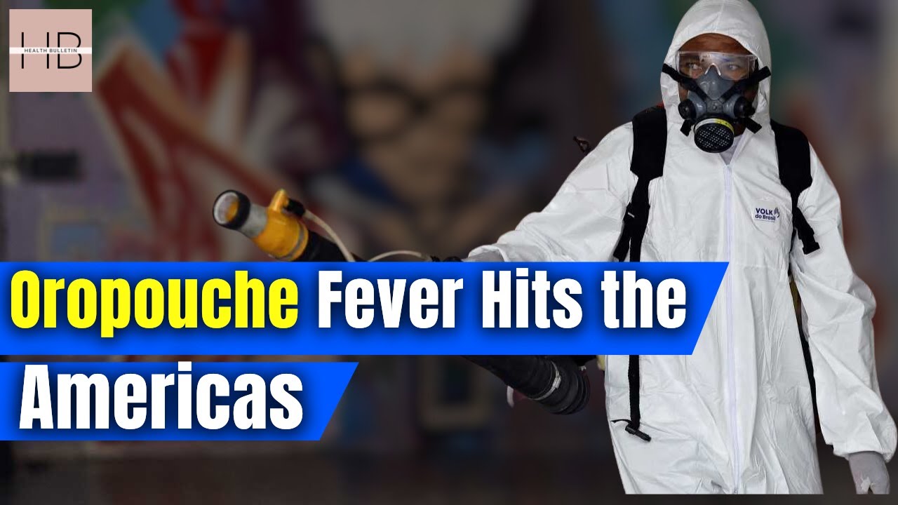 The Oropouche Fever Outbreak in the Americas-What's Happening? - YouTube