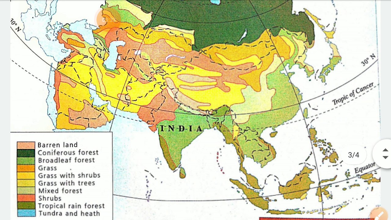 China- Natural Vegetation B A Part 3 rd - YouTube
