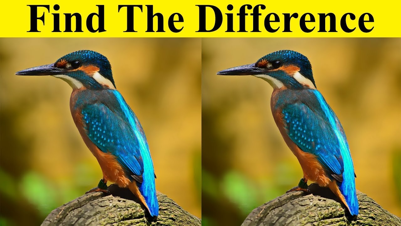 Find The Difference | Only Geniuses Can Find All The Difference | Tell ...