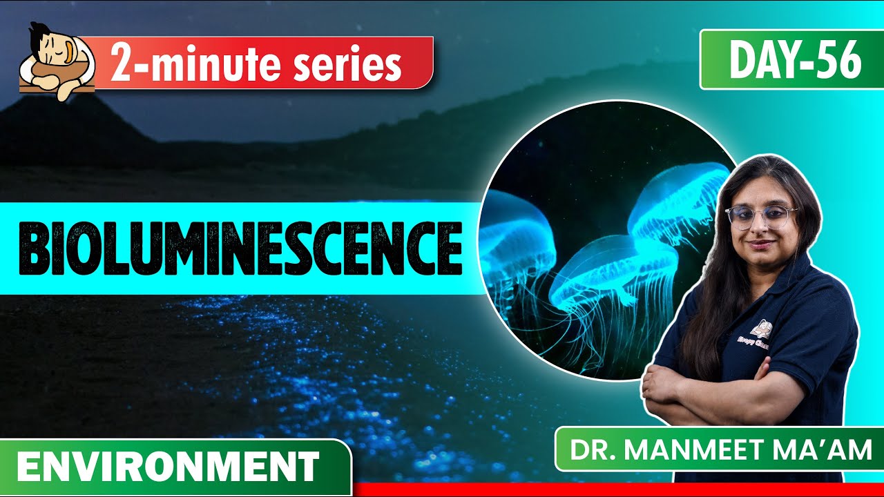 All About Bioluminescence: Animal Behavior for UPSC Prelims for 2024 | Sleepy Classes IAS | UPSC ...