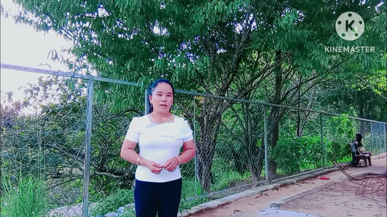 26/7/2024,,,maiv kab hais rau Li tho - YouTube