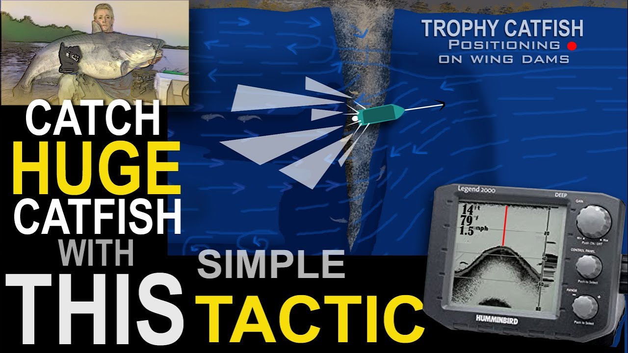 How to Catch Giant Catfish on River Wing Dams (simple pattern) - YouTube