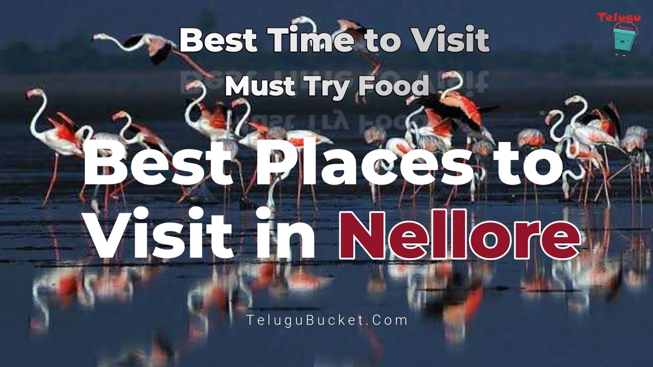 5 Best Places to Visit in Nellore | Best Tourist Places in Nellore ...