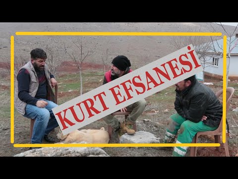 BOZKIRIN BEKÇİLERİ ( KURT KOVALARKEN AYAKLARI PARÇALANAN KANGAL EFSANESİ ) #kangal #malaklı (PART-1)