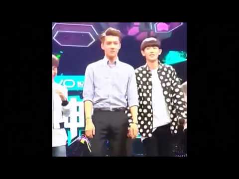 EXO Vine #3
