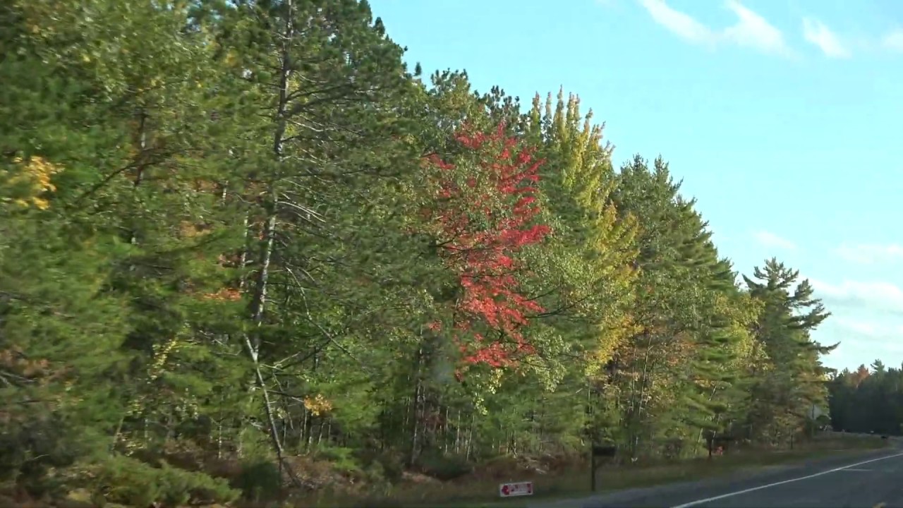 Northern Michigan (leaves turning color) Color Status 10-12-2019 West ...