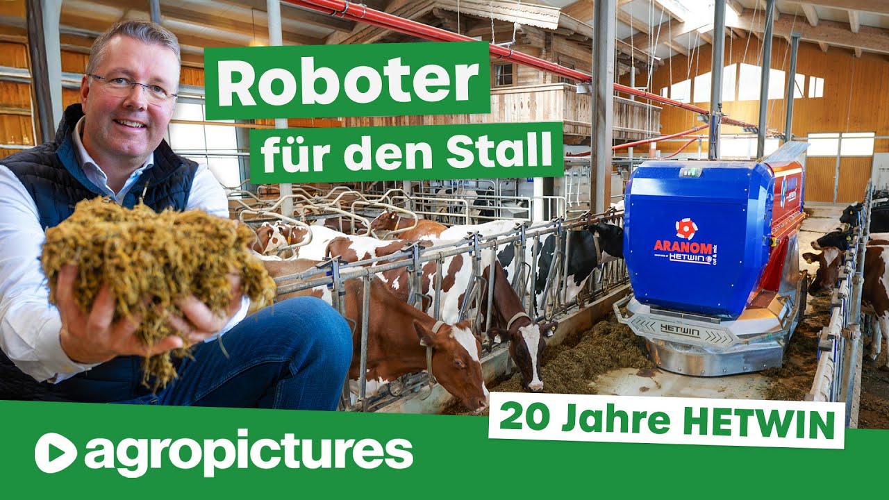 Automatischer Kuhstall: Roboter zum Füttern, Einstreuen und Entmisten ...