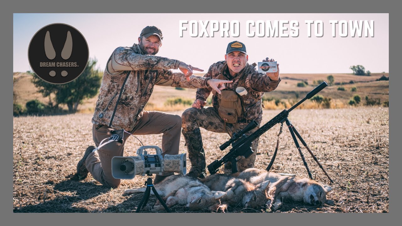 Early season coyote hunting. Foxpro comes to town! - YouTube