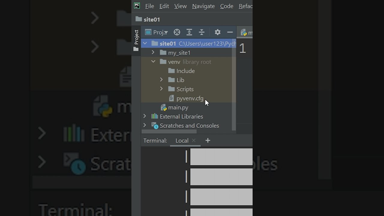 How To Create A Website In Python shorts YouTube how-to-create-a-website-in-python-shorts-youtube