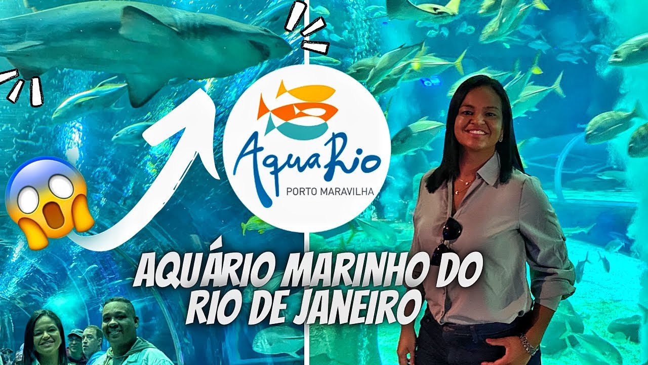 AQUÁRIO MARINHO DO RIO DE JANEIRO: AQUA RIO - YouTube