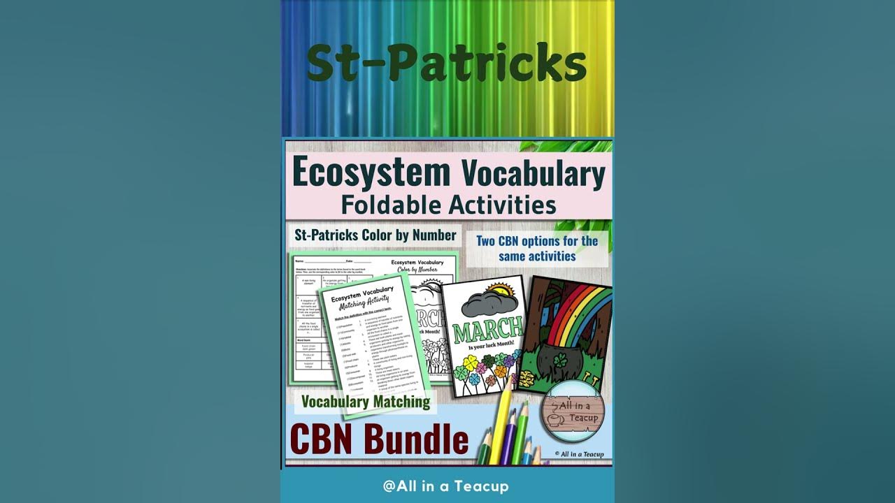 Ecosystem Foldable Vocabulary St Patricks Mini Bundle of Foldable ...