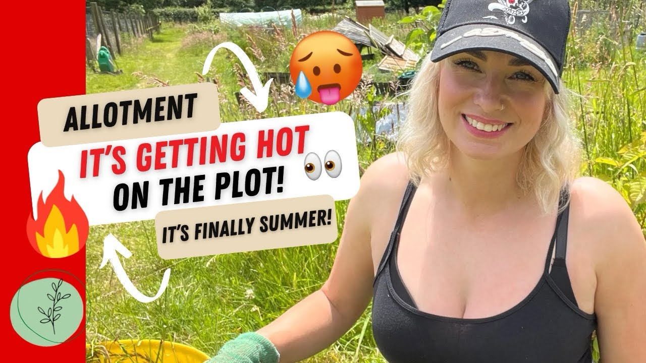 Summer Allotment Update & Plot Tour - Allotment beginners - YouTube