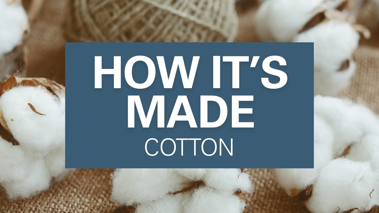 How Cotton Is Grown and Harvested | Where Cotton Fabric Comes From ...