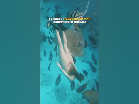 Коллекционирую моменты, а не вещи ☺️ #путешествия #моменты - YouTube