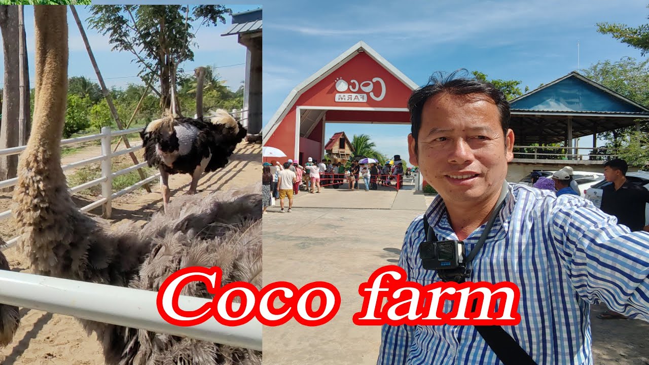 Visit Coco Farm in Saang district, Kandal province - Cambodia - YouTube
