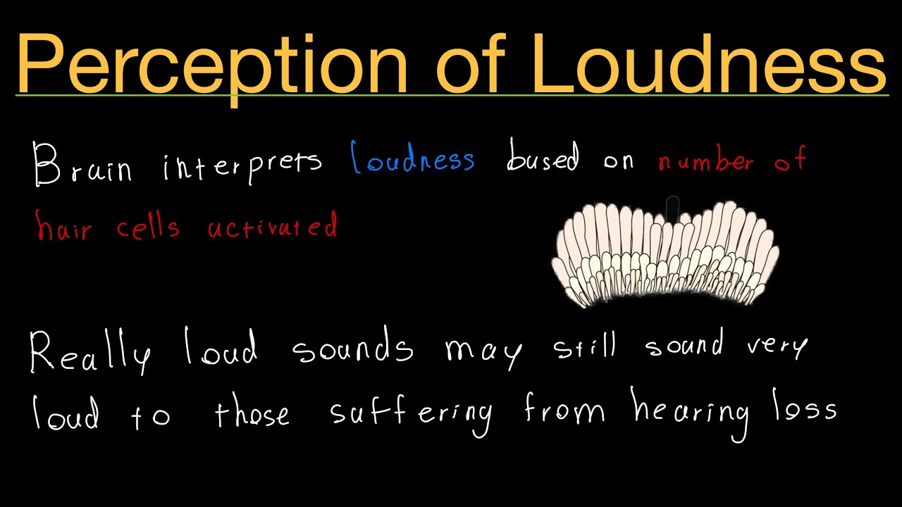 Perception of Loudness - YouTube