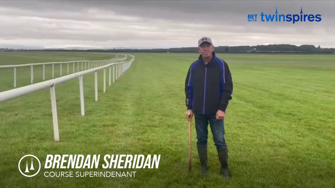 Curragh course update Wednesday - YouTube