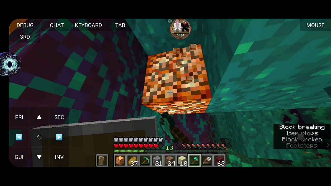 Chơi minecraft cùng @NekoNhiRobloxYT đi kiếm Ender Pearl ở Nether - YouTube