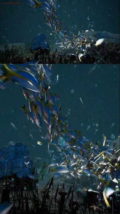 Fish Flock | Unreal engine 4.25 Niagara tutorial | UE4 Niagara Particle Attribute Reader - YouTube