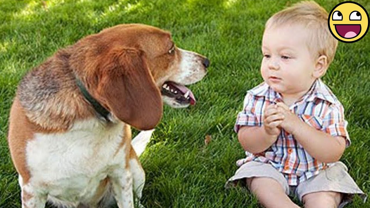 💞Adorable Baby & Animal Moments to Brighten Your Day! 🐶👶 - YouTube