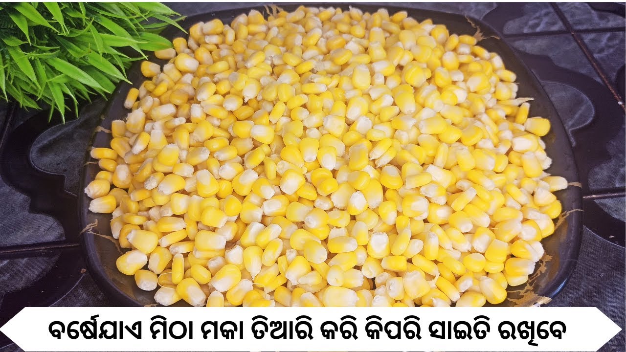 Easiest way to freeze corn ‼️ how to store sweet corn ‼️ store sweet ...