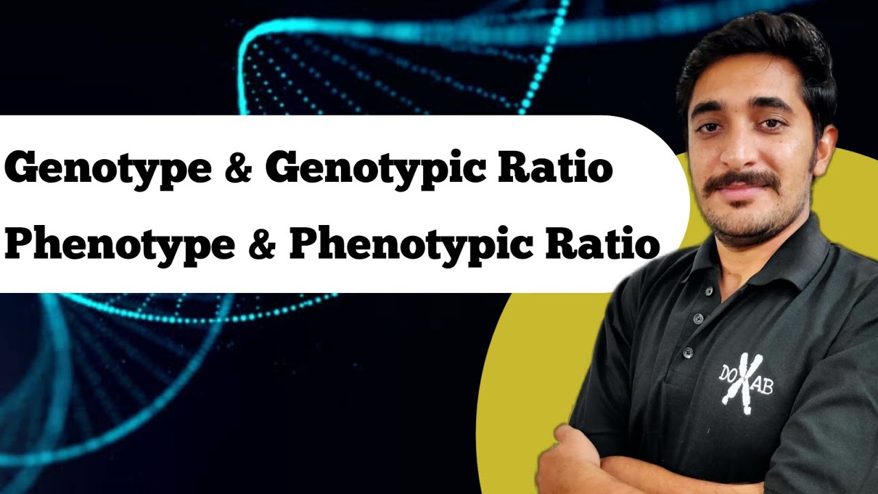 What is Genotype, Phenotype, Genotypic Ratio and genotypic Ratio ...