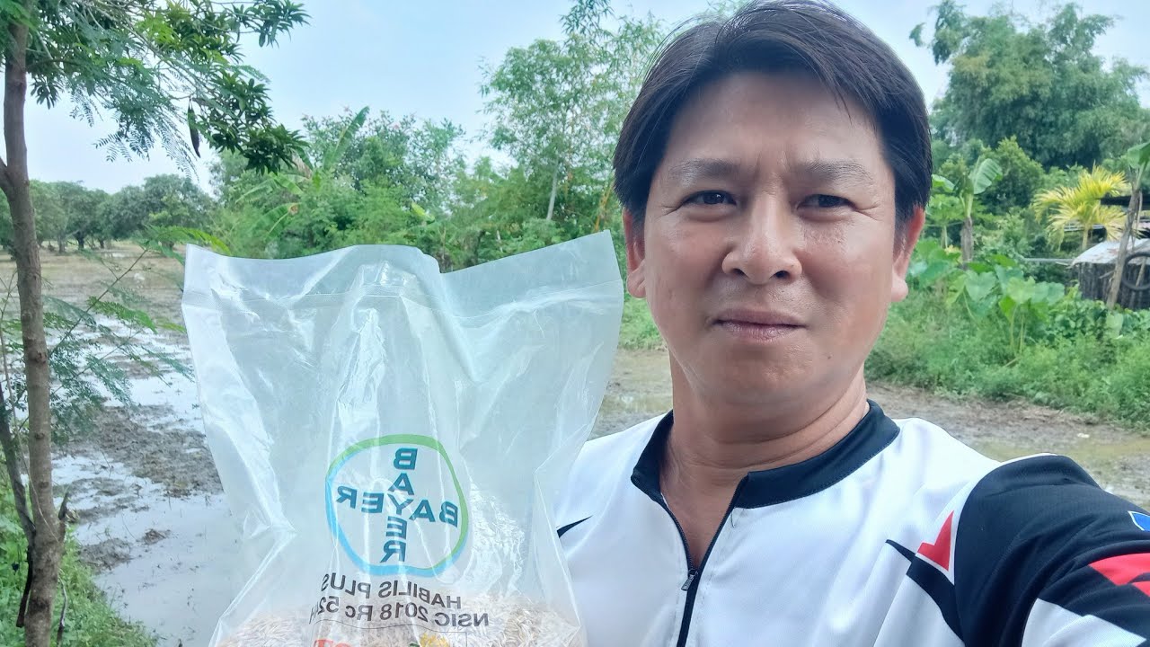 HYBRID HABILIS PLUS NSIC 2018 RC 524H - YouTube