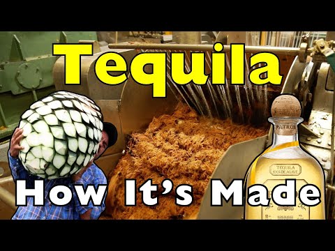 How Is Tequila Made?