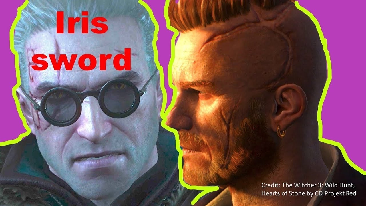 Iris v. lvl 100 Witcher Steel Swords Schools & Level ranking #switcher ...