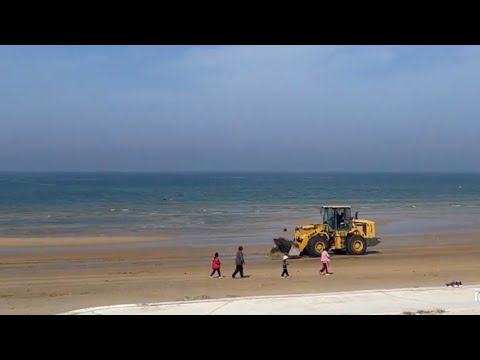 A Green Mars Concert - 2024 Hua ChenYu Mars Concert video credit: 啦啦啦啦啦 - YouTube