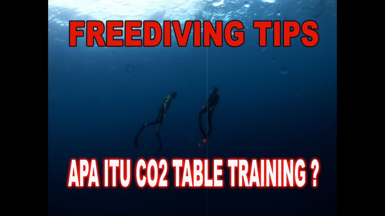 FREEDIVING TIPS : MANFAAT LATIHAN C02 TABLE UNTUK PEMULA !! ( PENTING ...