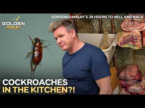 Kitchens SO DISGUSTING Gordon Couldn’t Believe They Were Open! | Ramsay's 24 Hours To Hell And Back