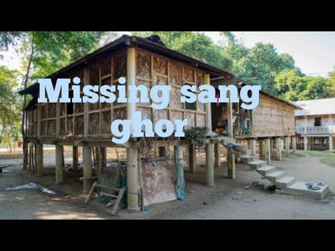 missing sang ghort party korelu alp😊😊😋😋 - YouTube