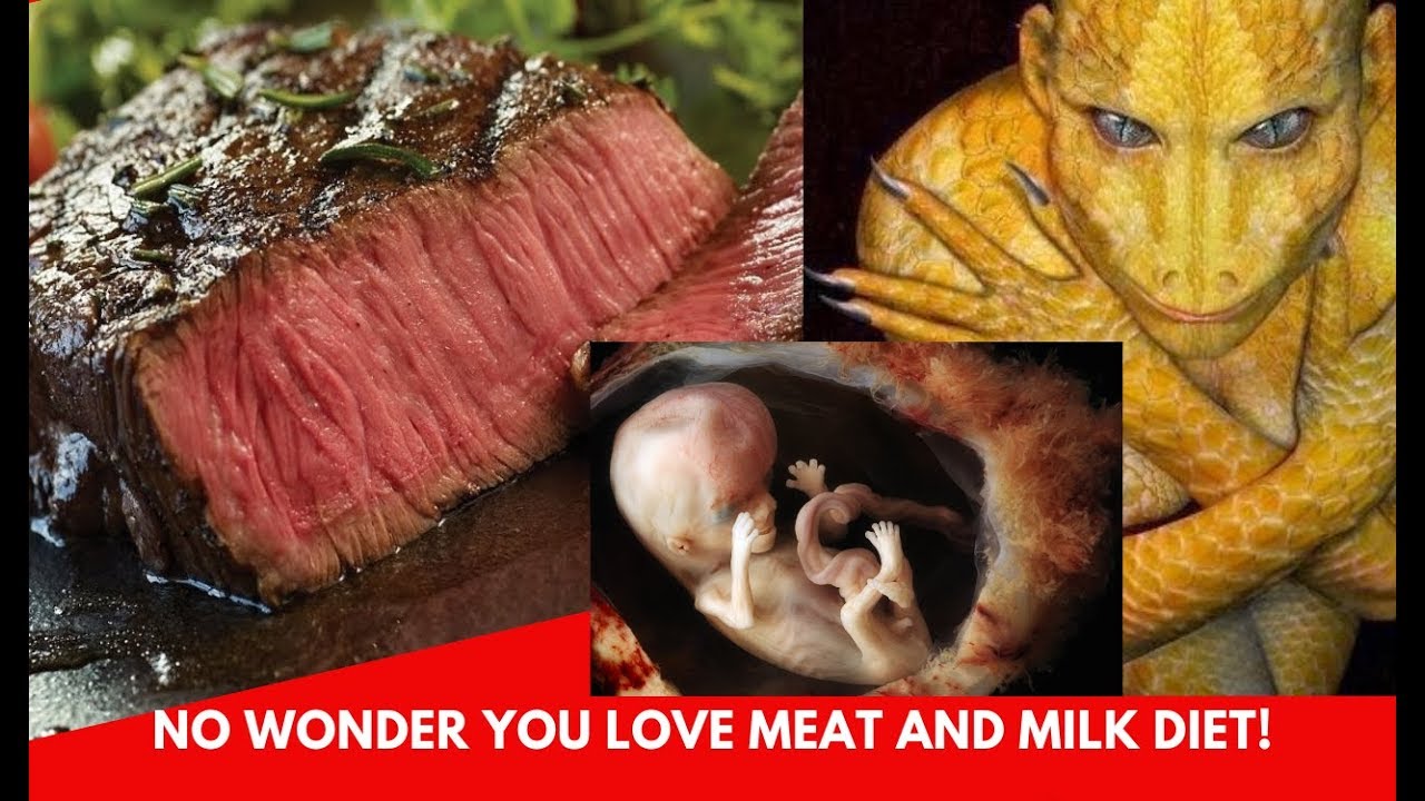 no wonder You Love Meat and Milk Diet! - YouTube