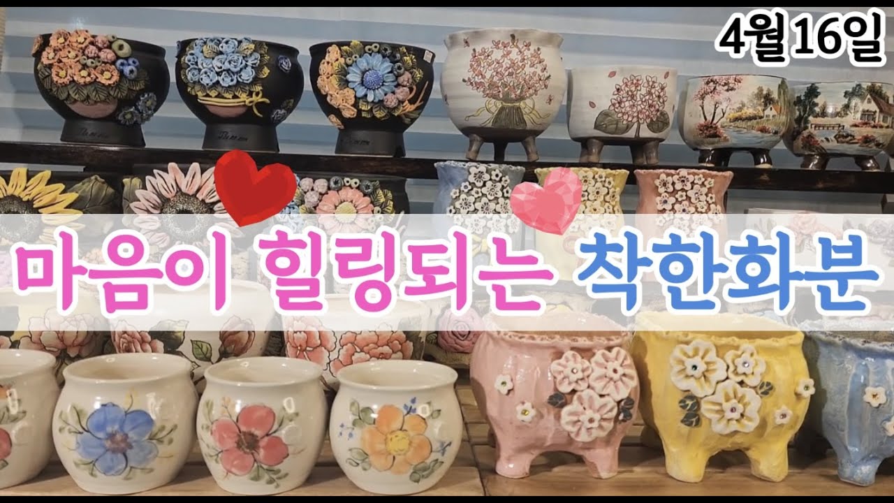 4월16일 마음이 힐링되는 착한화분 꽃담다육스토리예쁜화분화분싸게파는곳다육식물多肉植物succulents다육이꽃담화분